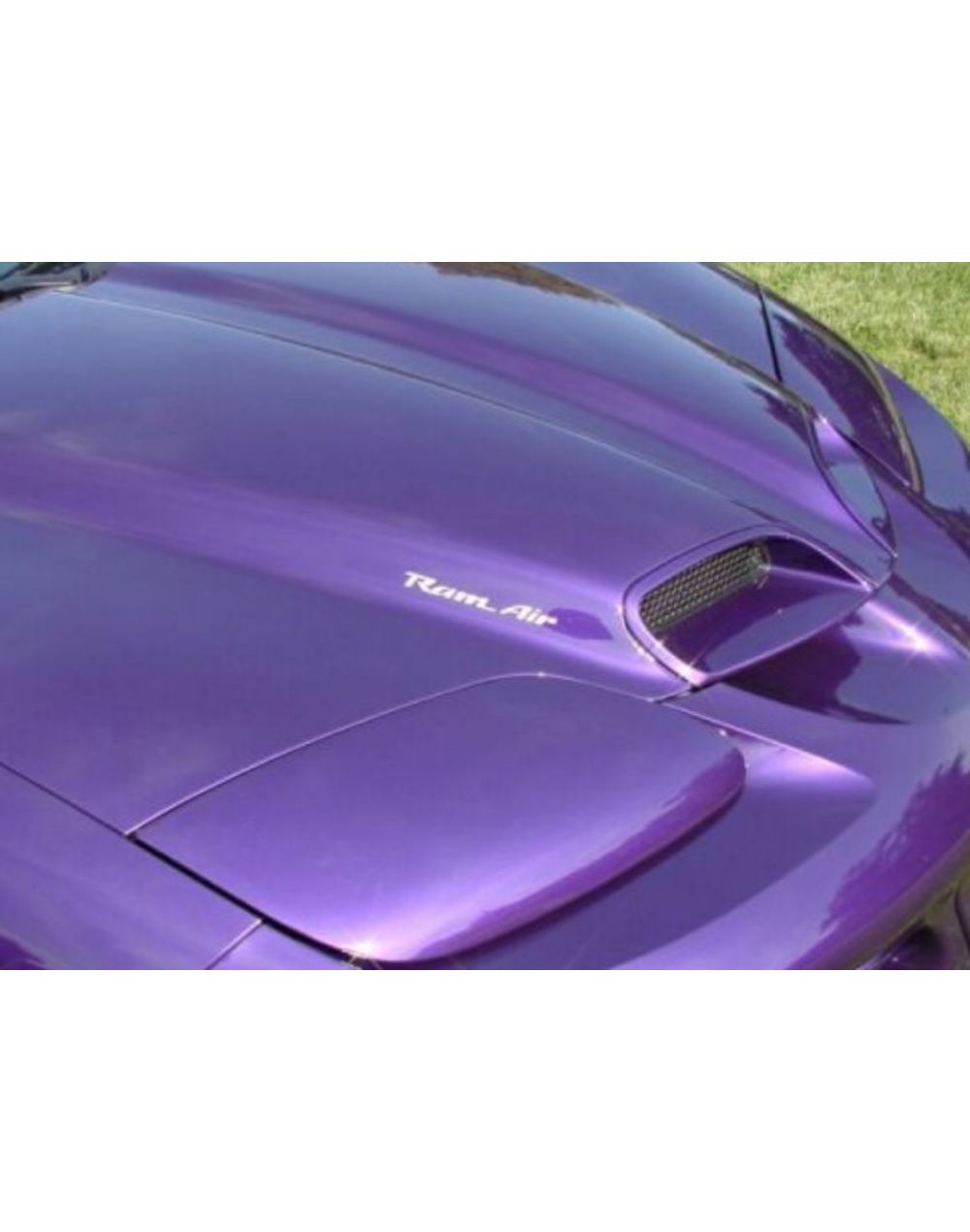23L Electric Purple Full Car Paint Respray Kit– Premier Panelbeating ...